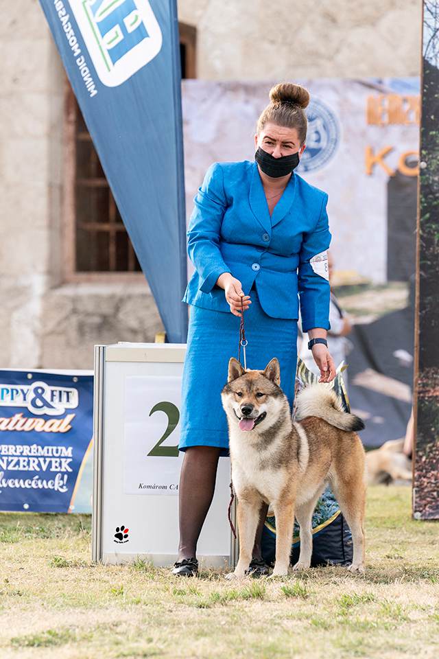 Kinrou No Tono Go Kinrousha – Shikoku Kennel